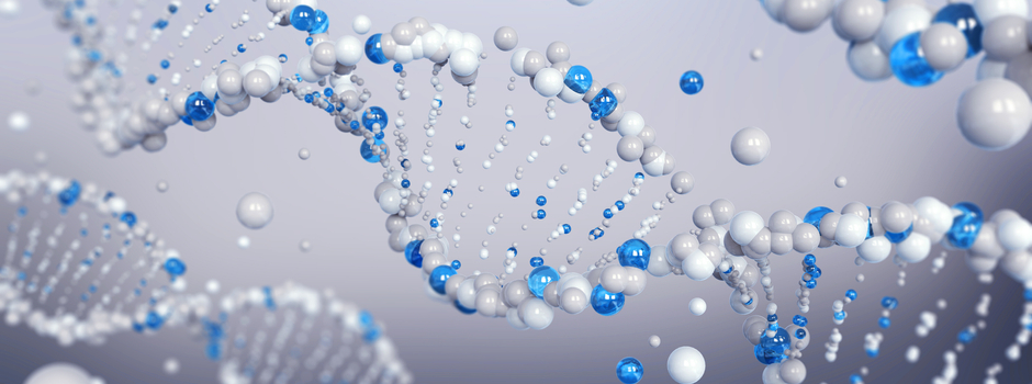 12th Session, Intergovernmental Bioethics Committee (IGBC), 23-24 ...